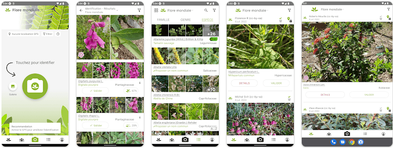 Les meilleures applications pour partir en randonnée en 2024